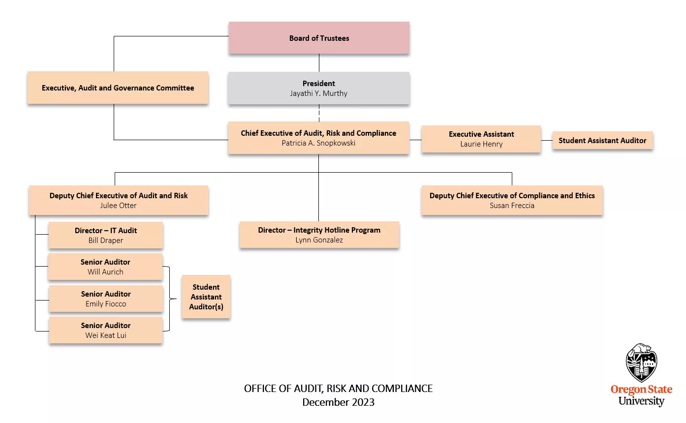 Organizational Chart | Office of Audit, Risk and Compliance ...